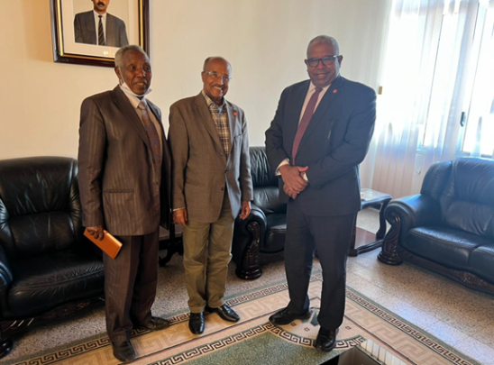 RECSA Executive Secretary and Eritrea officials meet – RECSA